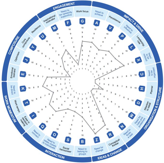 How Do PAPI Assessments Work? | Cubiks FAQs